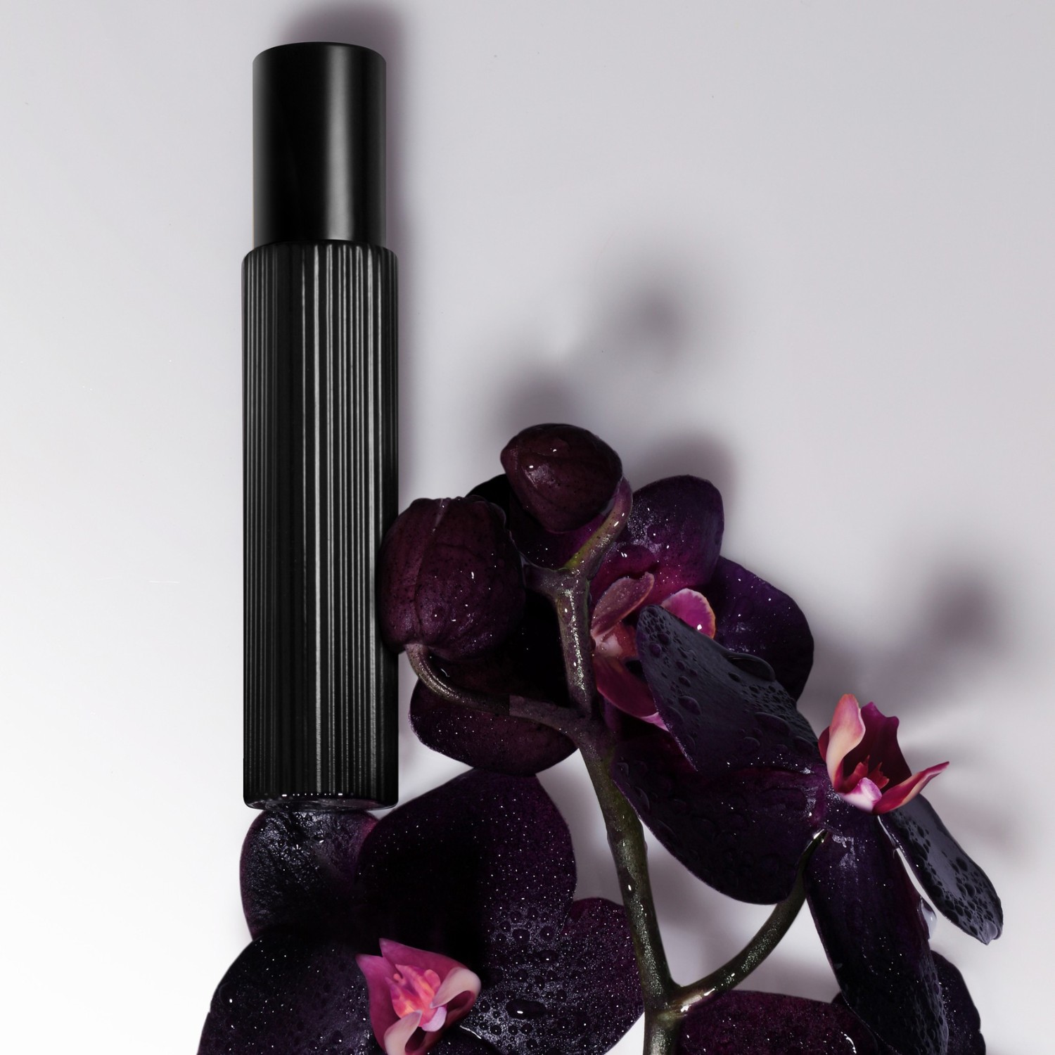 Black Orchid - Antwerp Luxury Candle Supplies